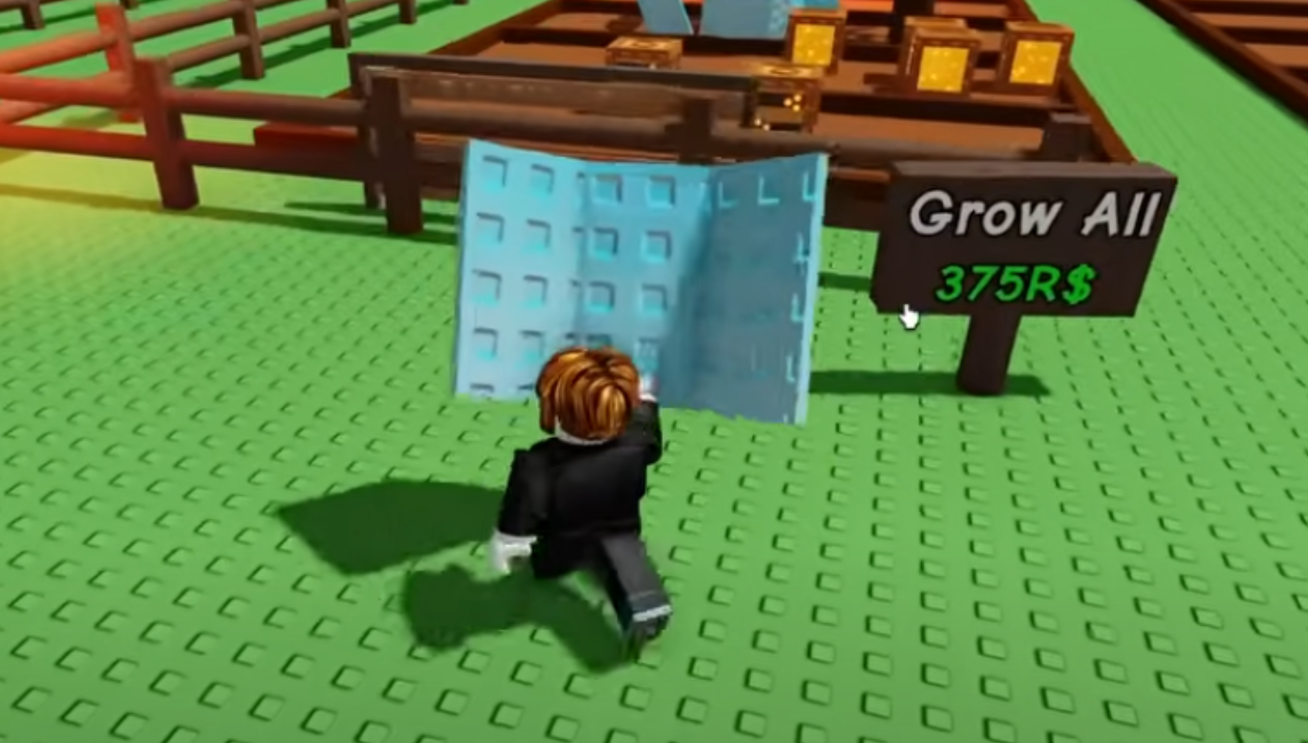 晒干的突变生长一个花园突破 - Collectiona2z.com